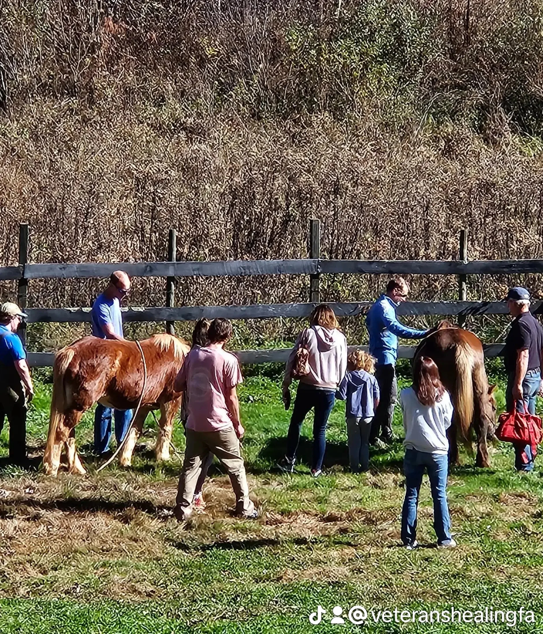 Veterans Healing Farm