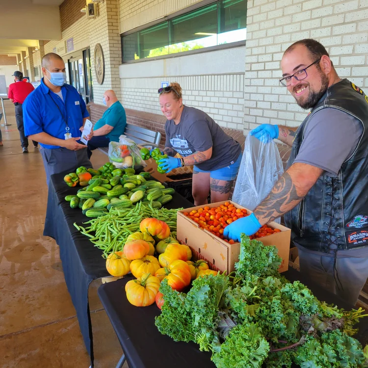 Veterans Healing Farm