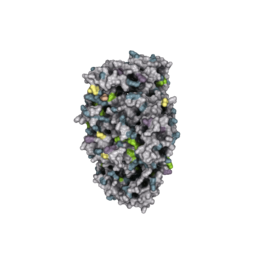 Hyku Biosciences