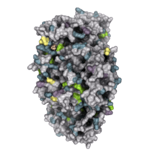 Science — Hyku Biosciences