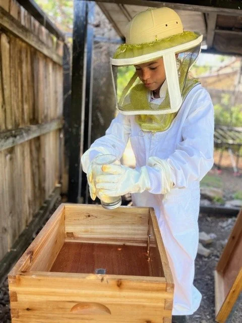 Beekeeping with kids in the Austin area, Central Texas — Sustainable 626