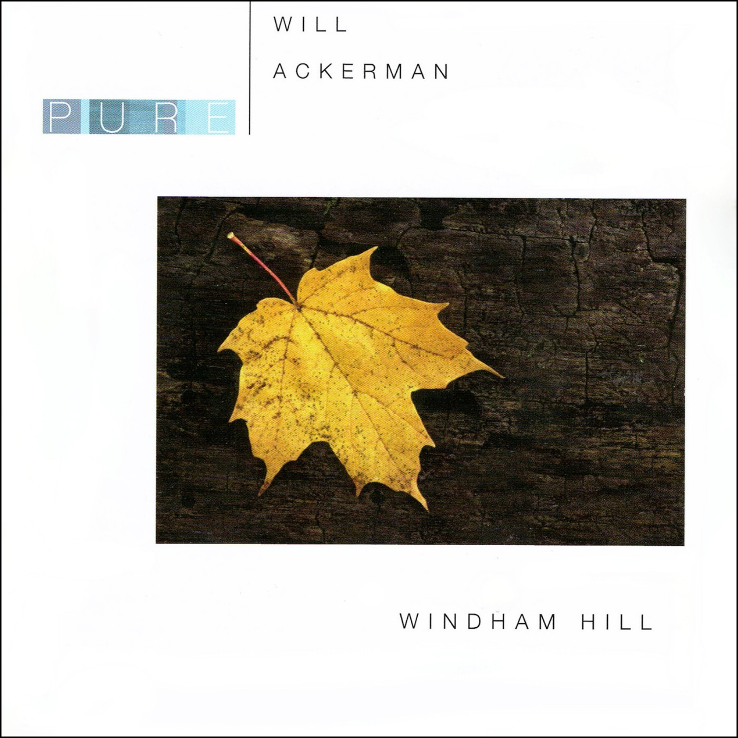 The Opening Of Doors — will ackerman