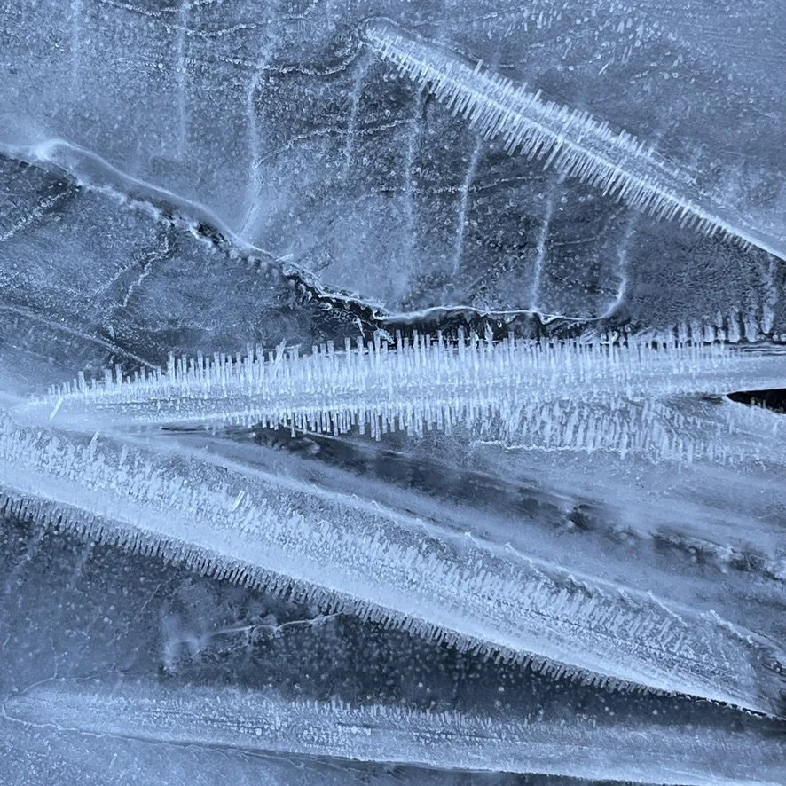 join — will ackerman