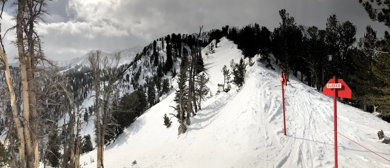 Privacy Policy 1 — Carey Lab