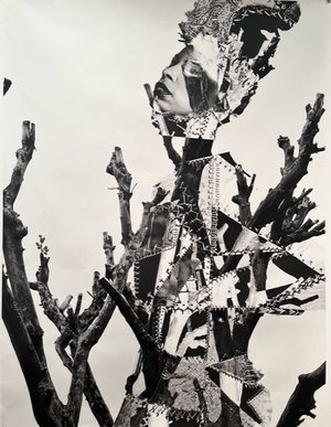 Current Exhibitions — Fisk University Galleries