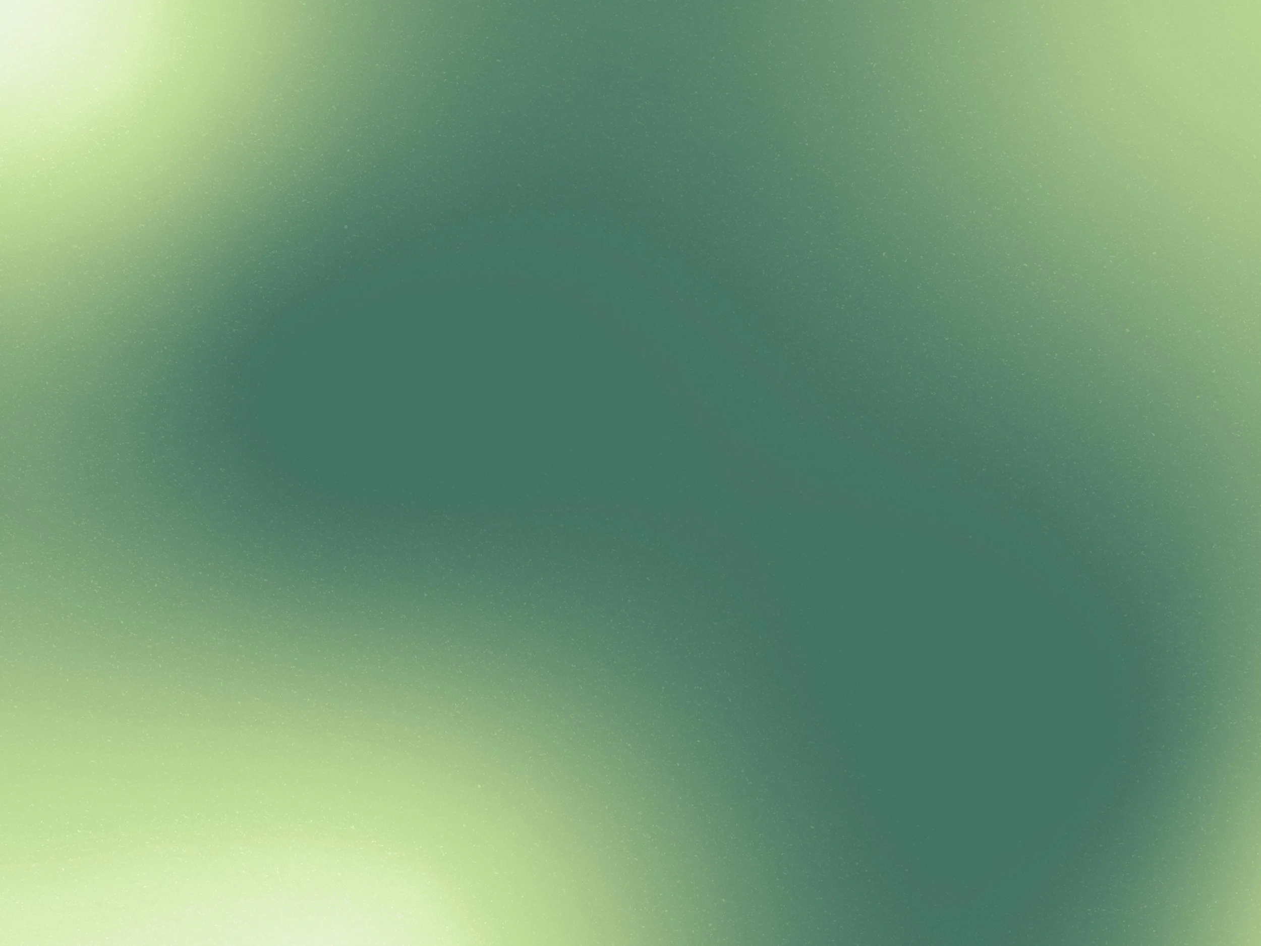 Services — Laxton CFO Services