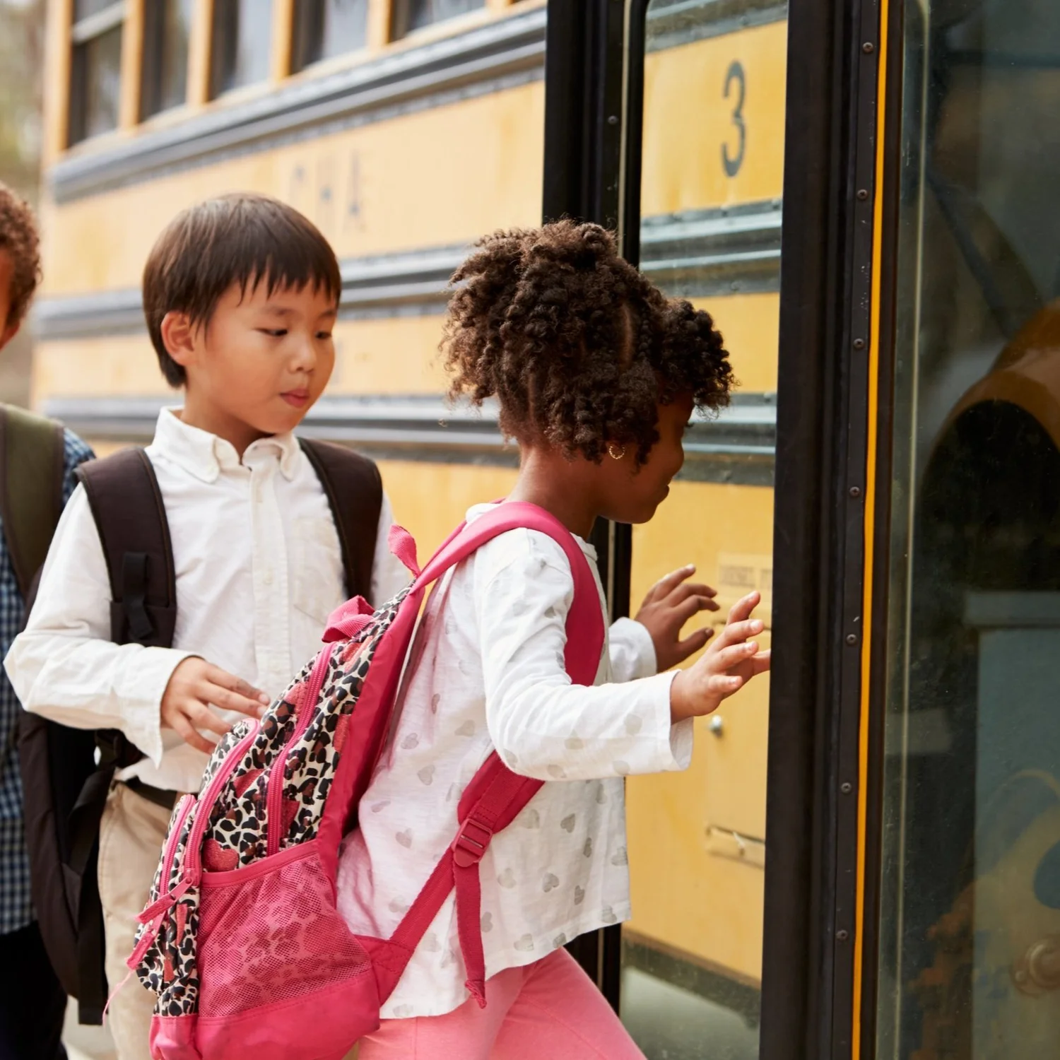 School Bus Logistics – Your partner for efficient routing and operations