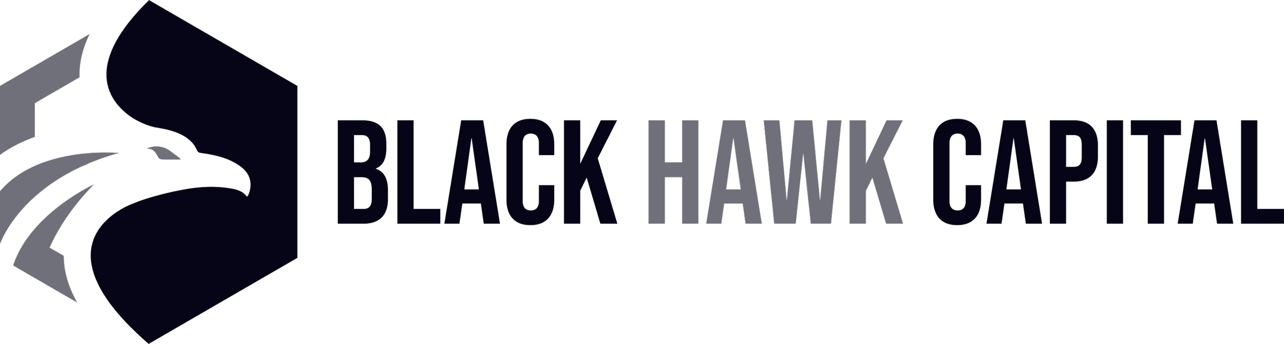 Black Hawk Capital — Portfolio