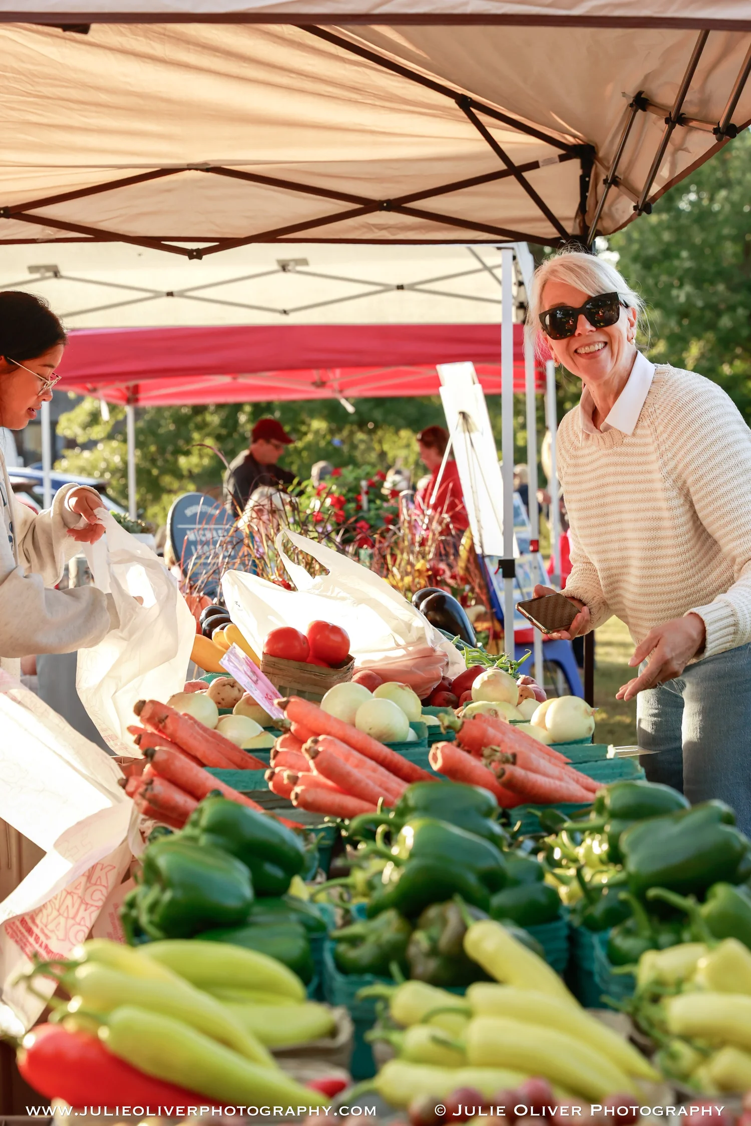 Farm Fest — Hill Farm Historical Society