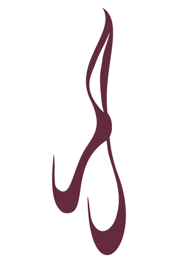 About Stroia Dance Studios — Stroia Dance Studios