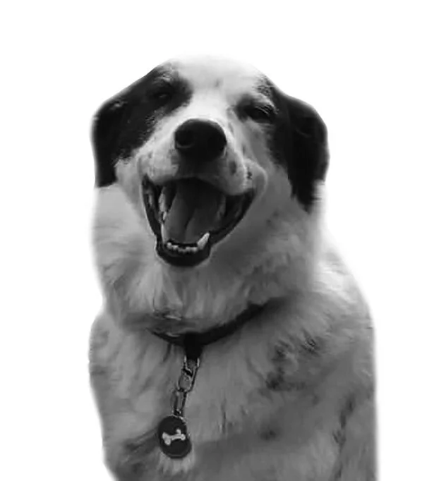 Mick | Head of Security | Aster Talent