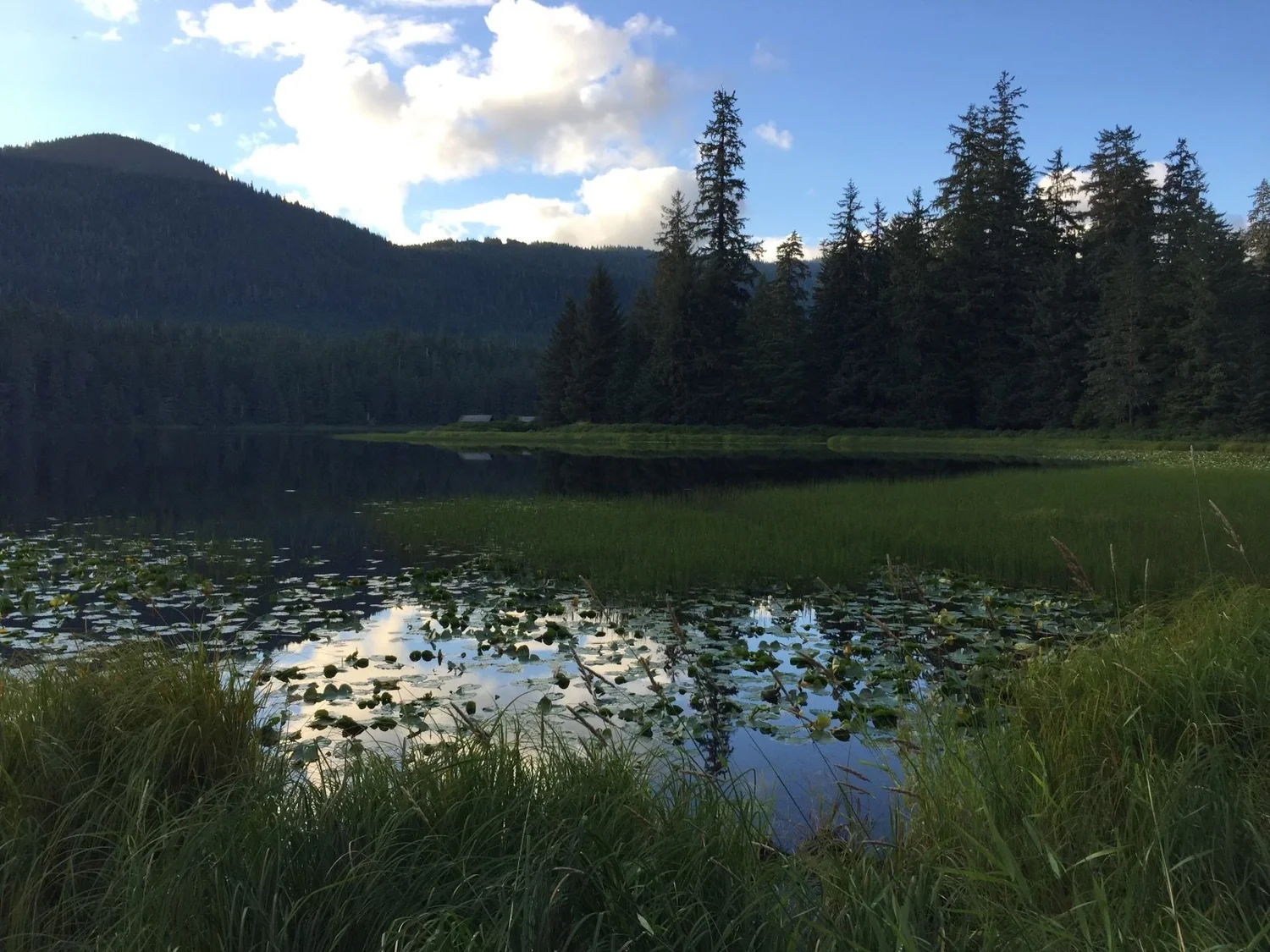 The best trails in Ketchikan Alaska — The Last Frontier & Beyond