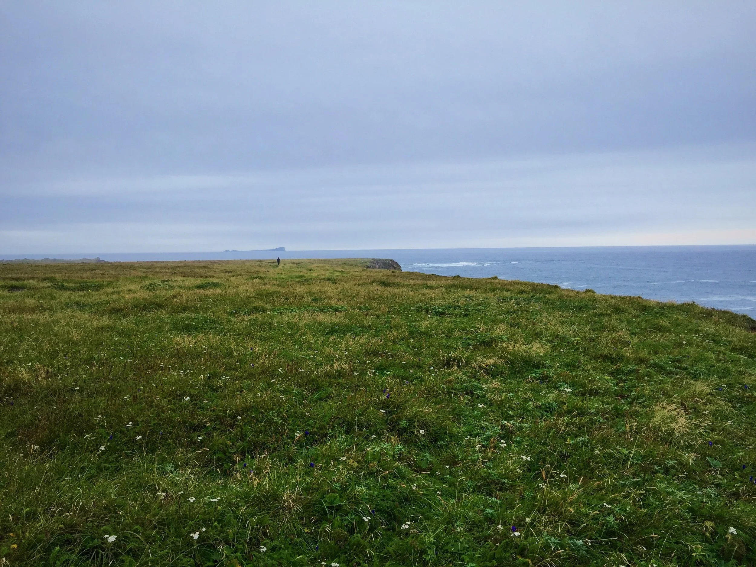 Wandering and wildlife viewing on St. Paul Island Alaska — The Last ...