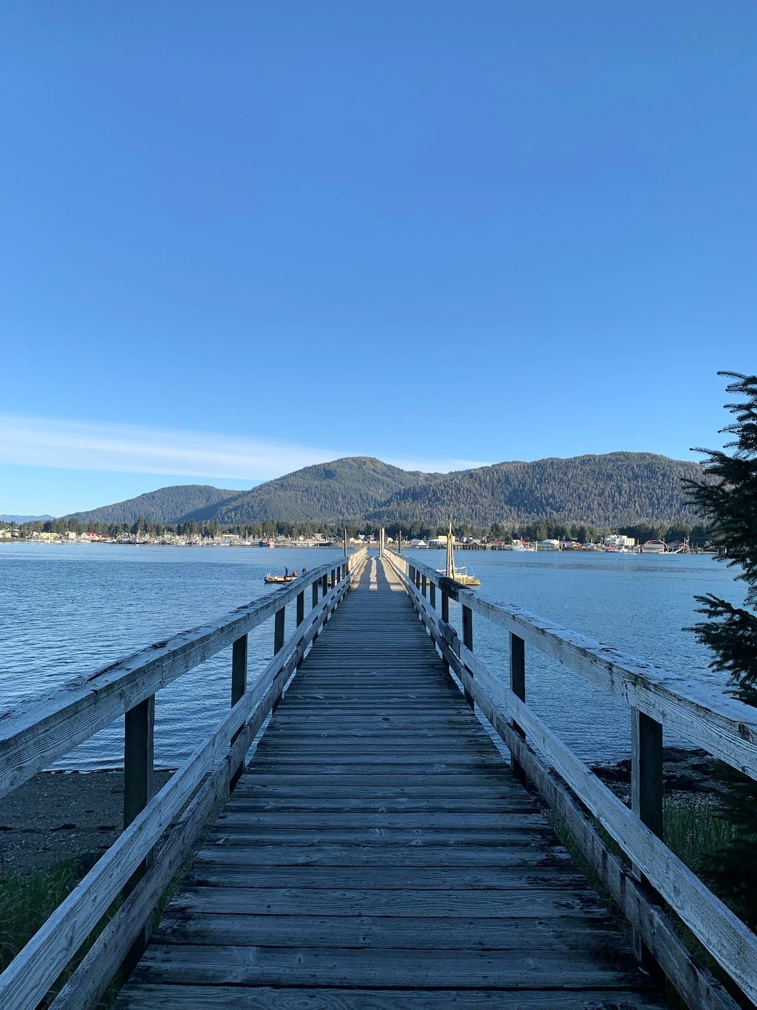 The Best Trails in Petersburg Alaska — The Last Frontier & Beyond