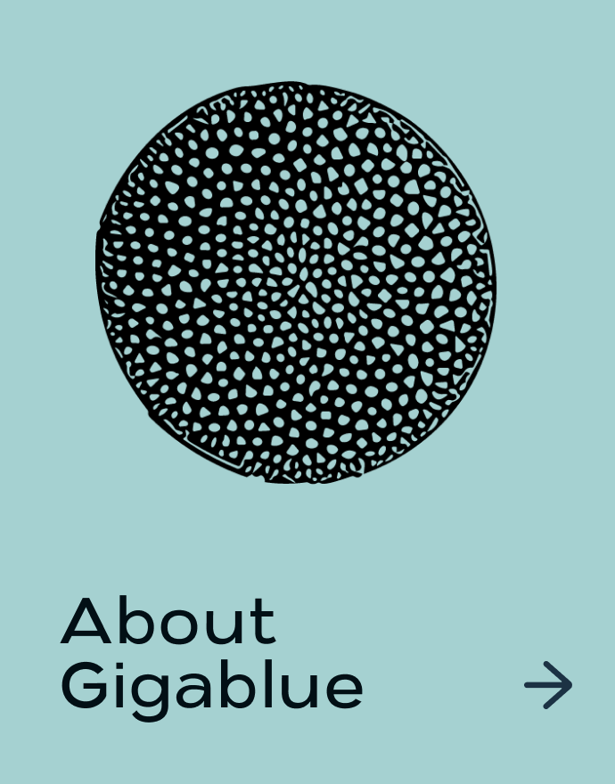 Gigablue