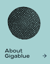 Gigablue