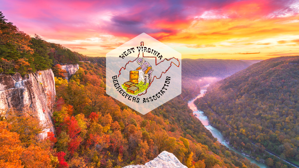 wvbeekeepers.org