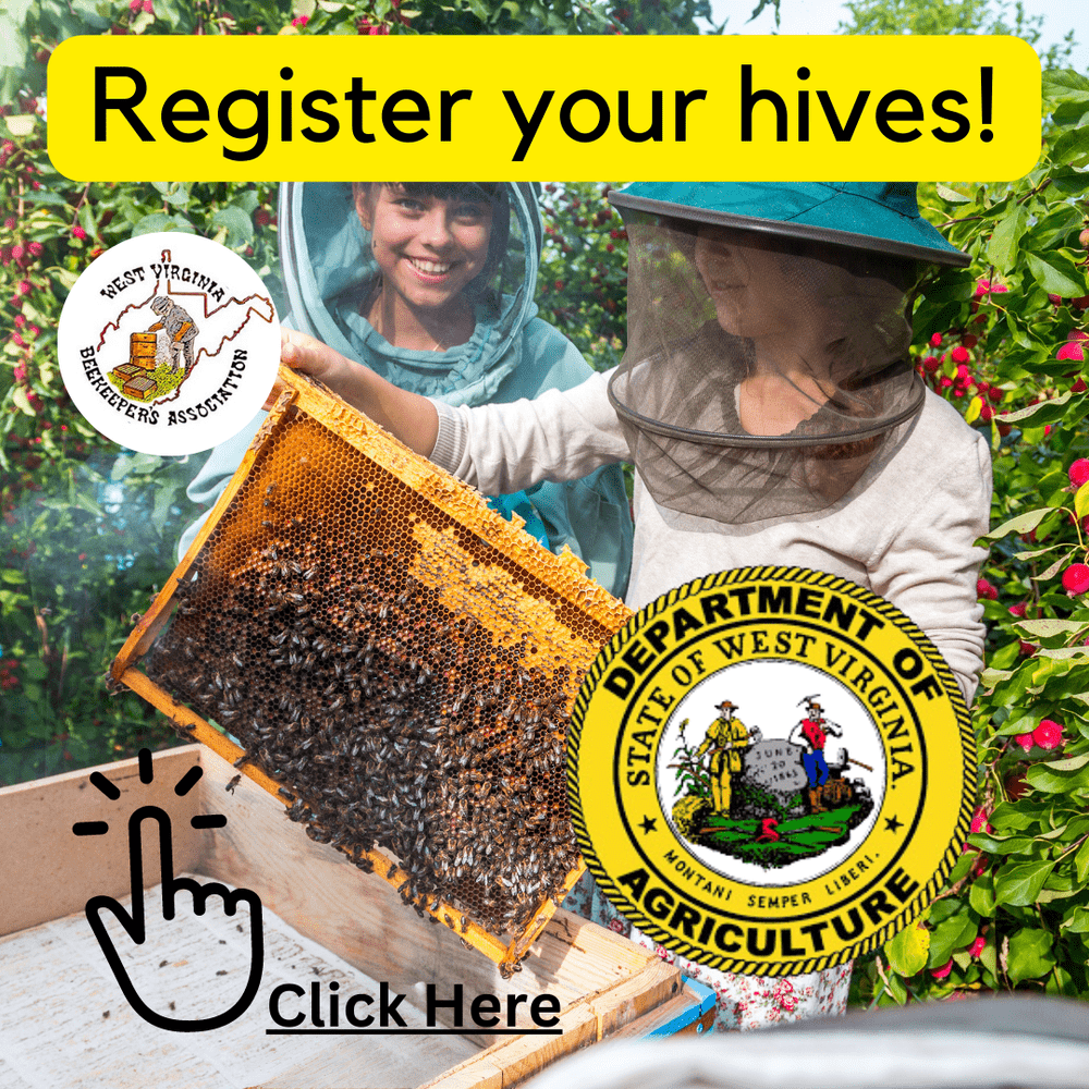 wvbeekeepers.org