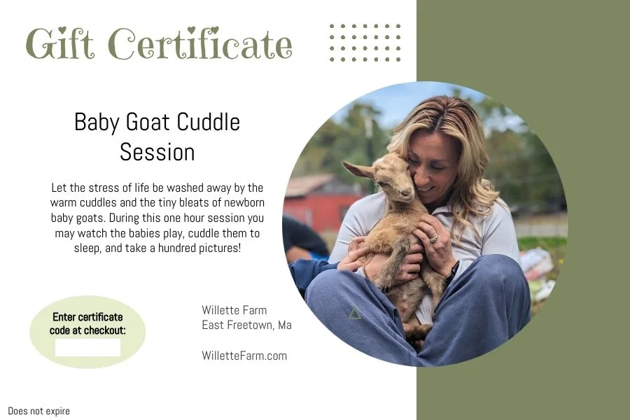Baby Goat Cuddle Session — Willette Farm