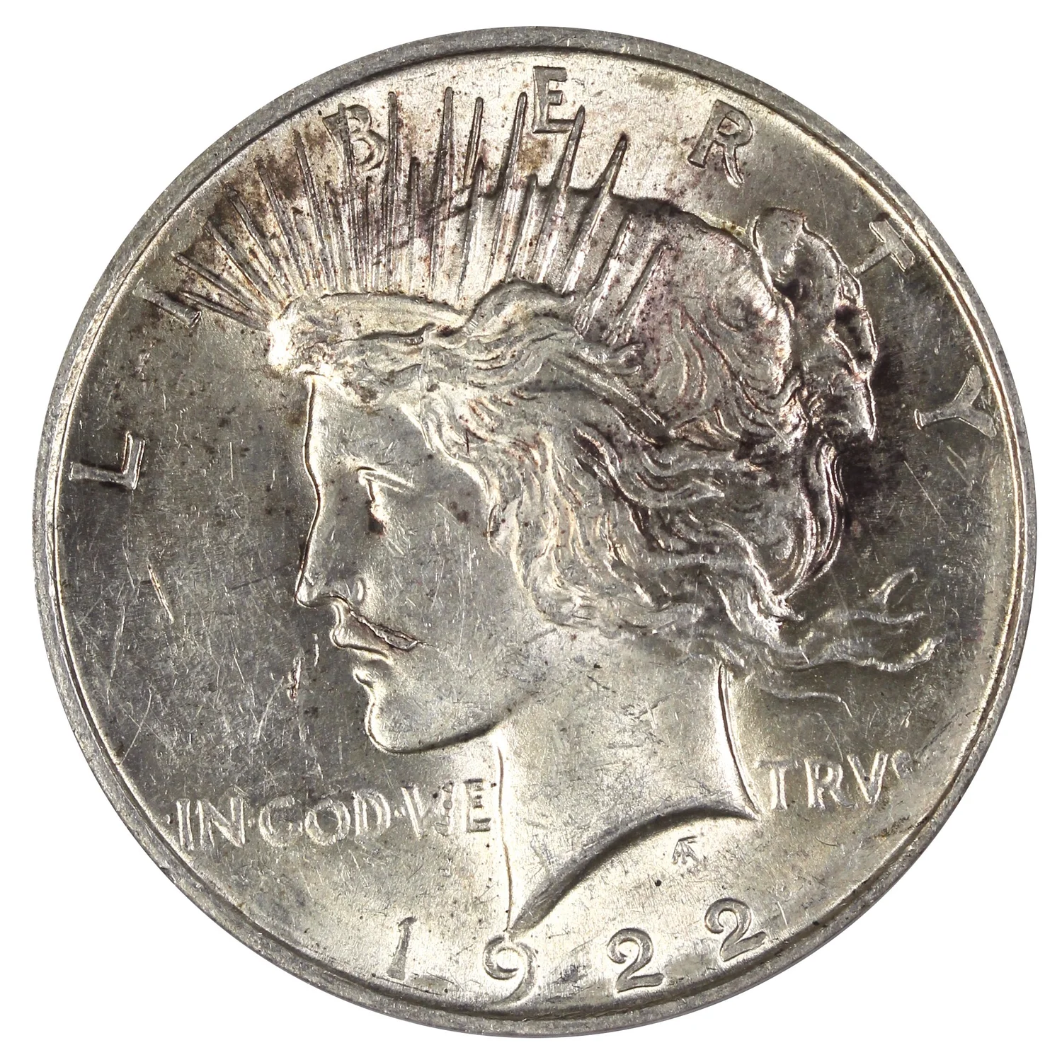 Store — Sam Sloat Coins