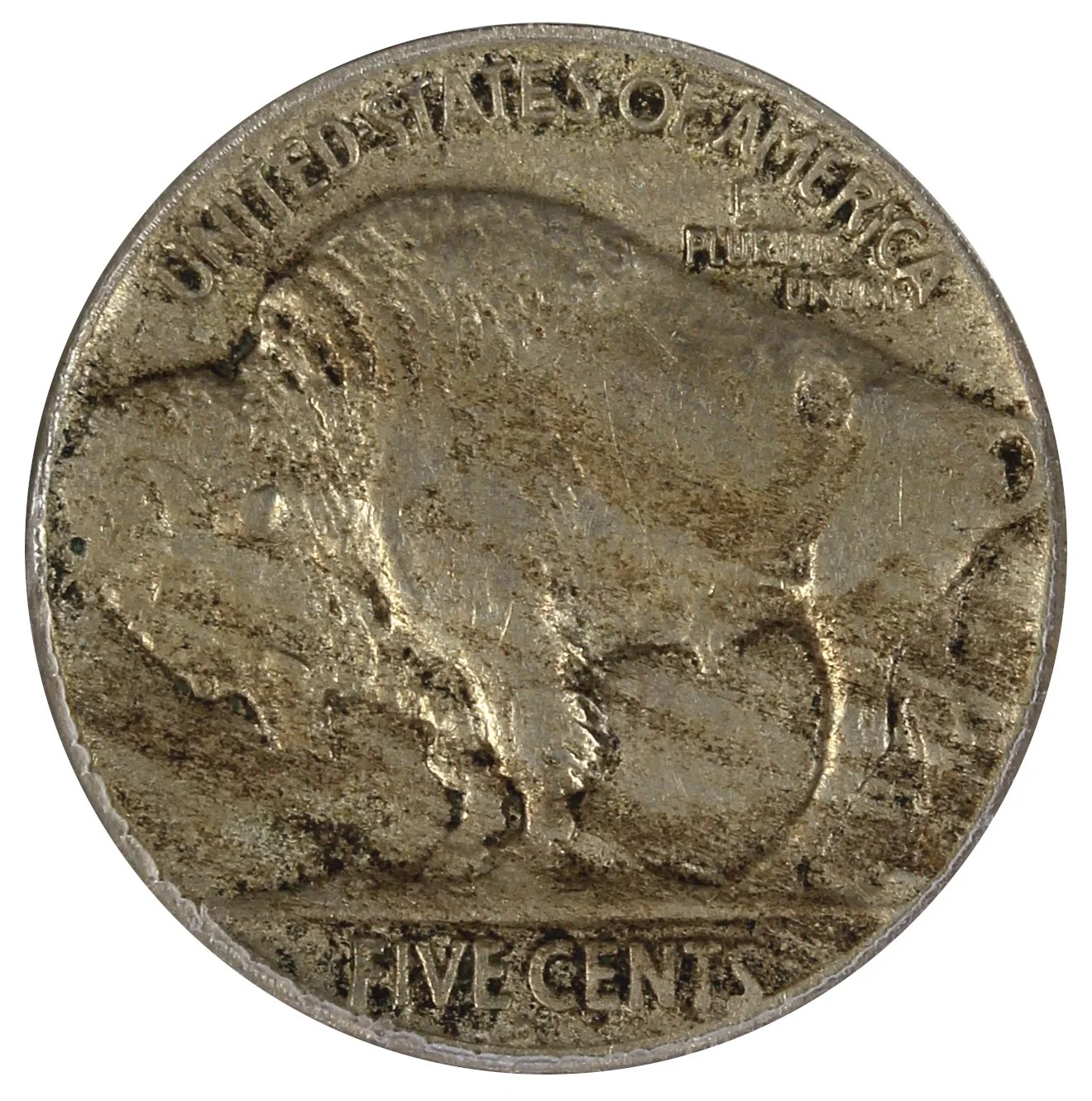 Store — Sam Sloat Coins