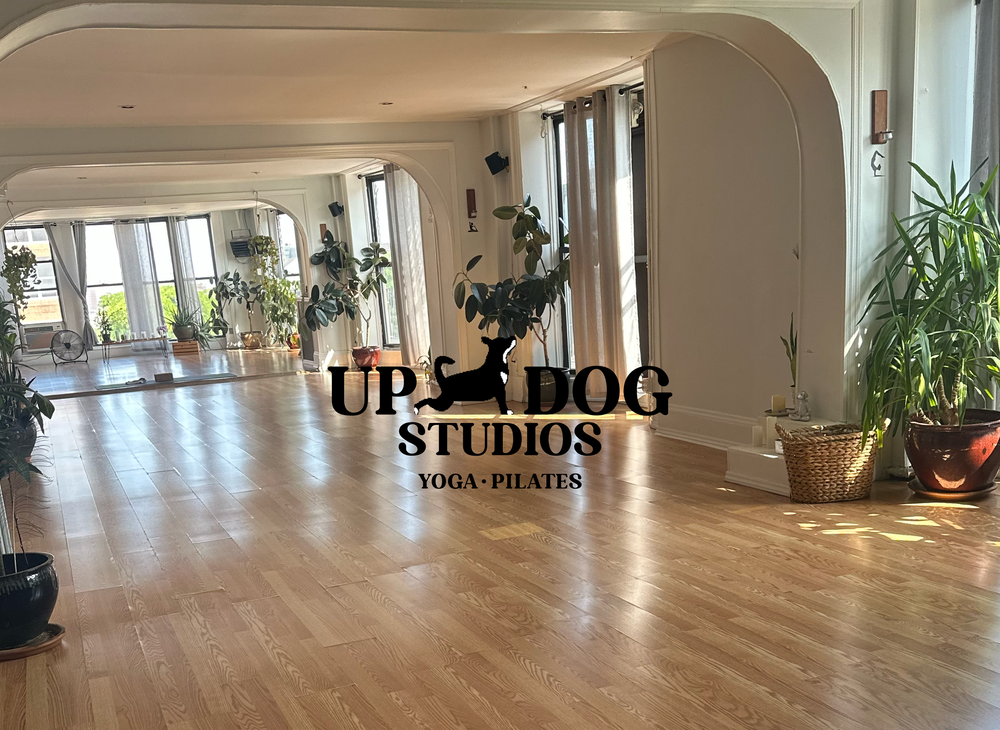 Our Studio — UpDog Studios