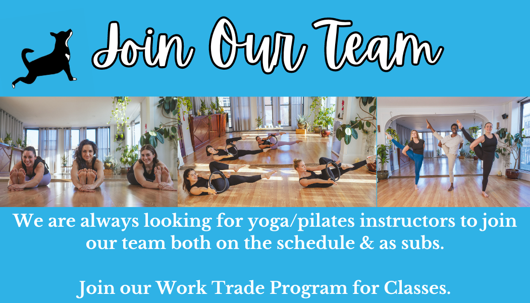 Contact — UpDog Studios