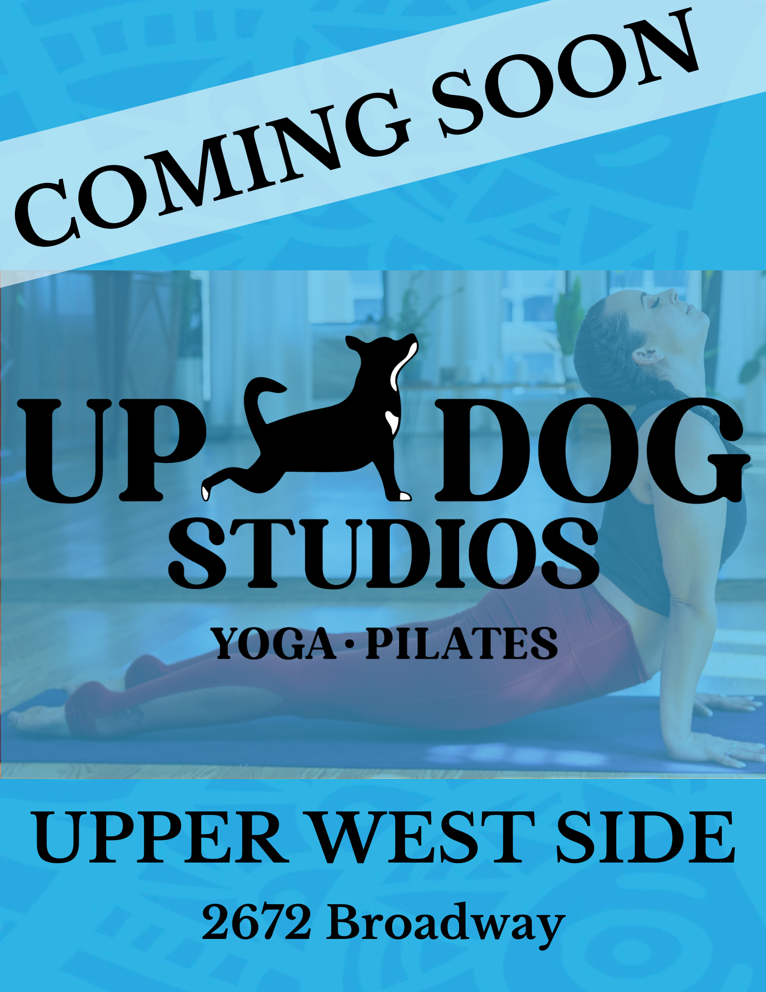 News/Workshops — UpDog Studios