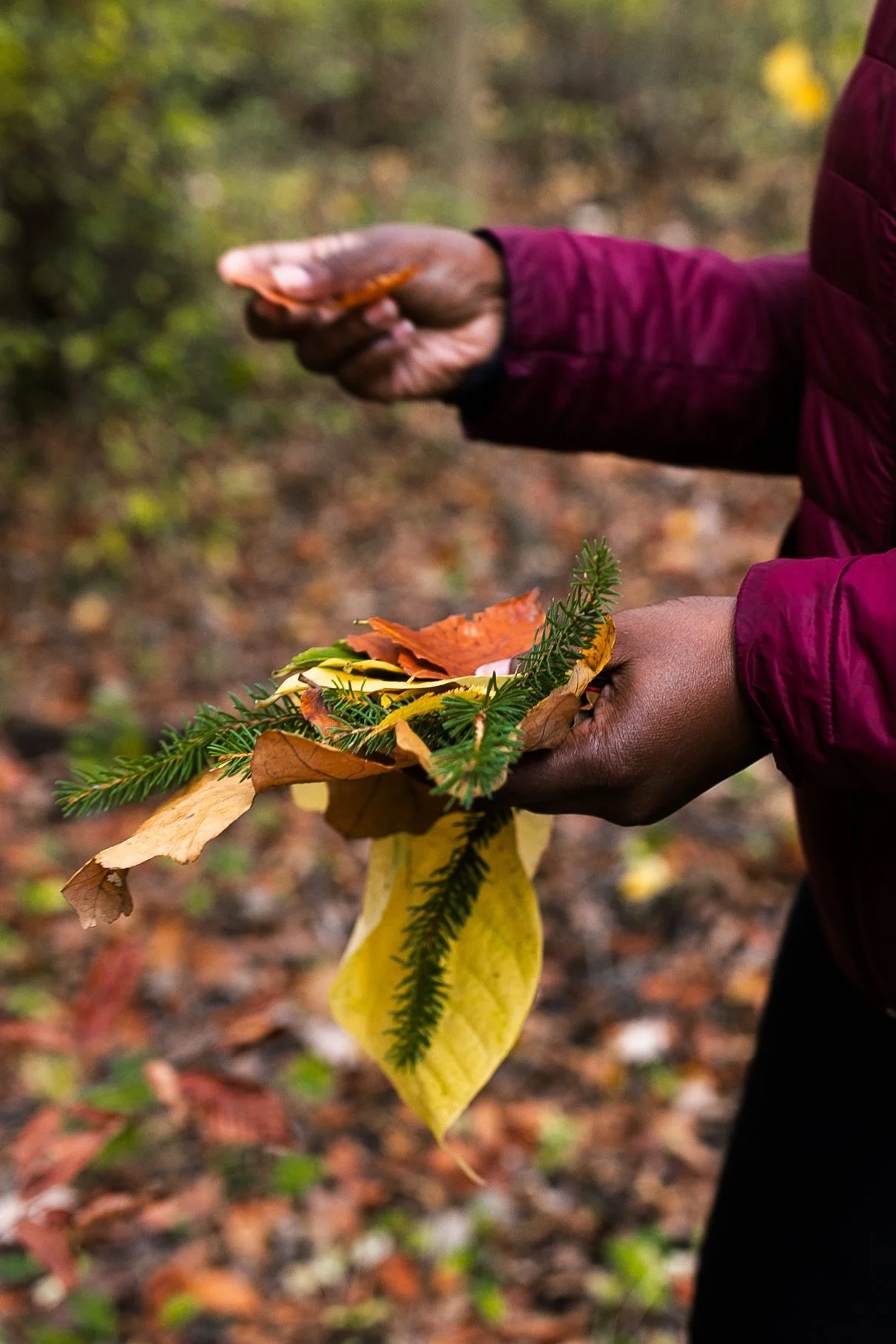 Black Women in Nature