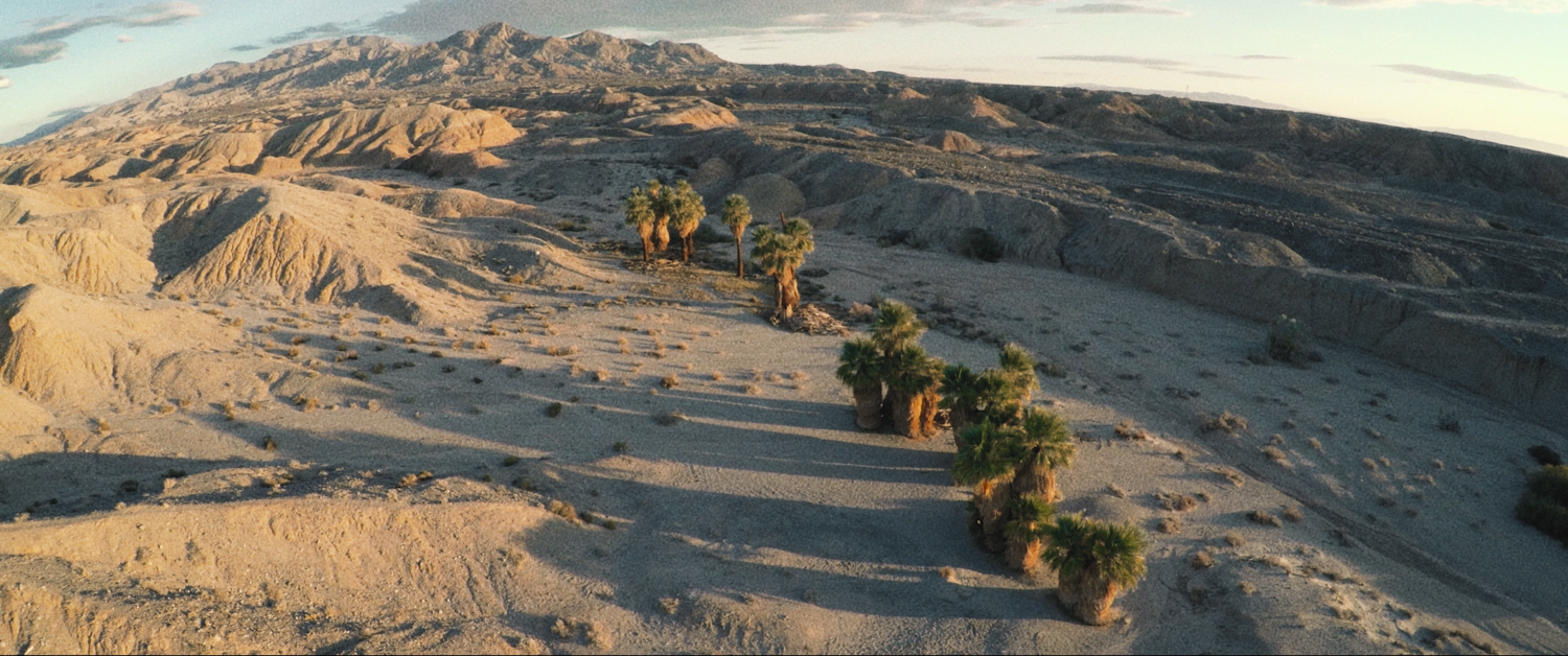 Create and Explore — LAWLESS