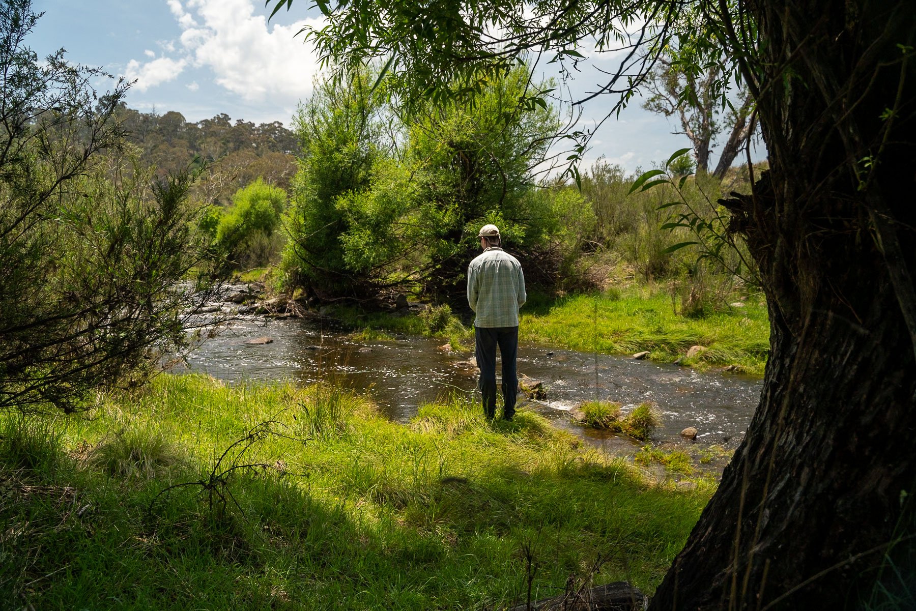 Fly Fishing the Monaro — Tale Out. Australian and New Zealand fly ...