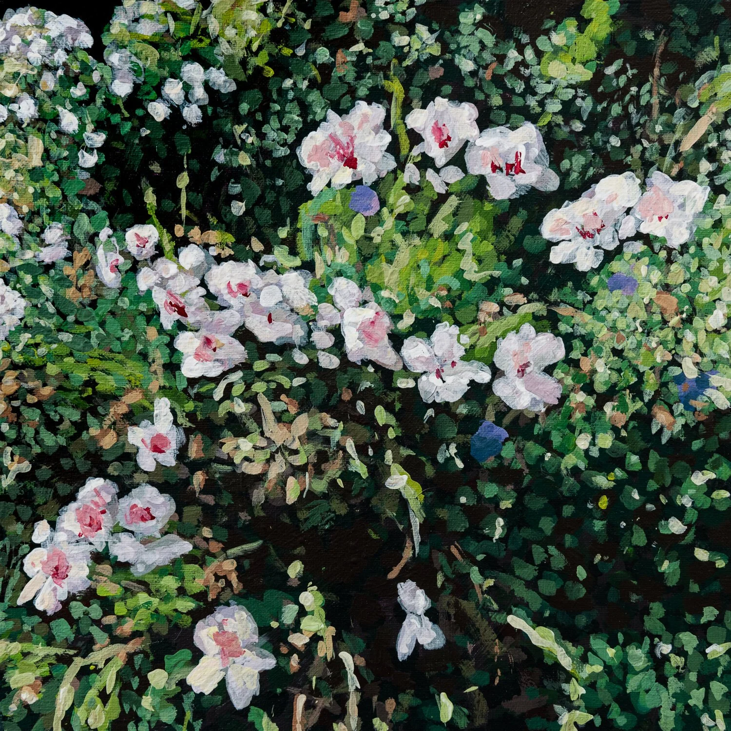 Jess Locke - Don't Ask Yourself Why Review — Pario Magazine