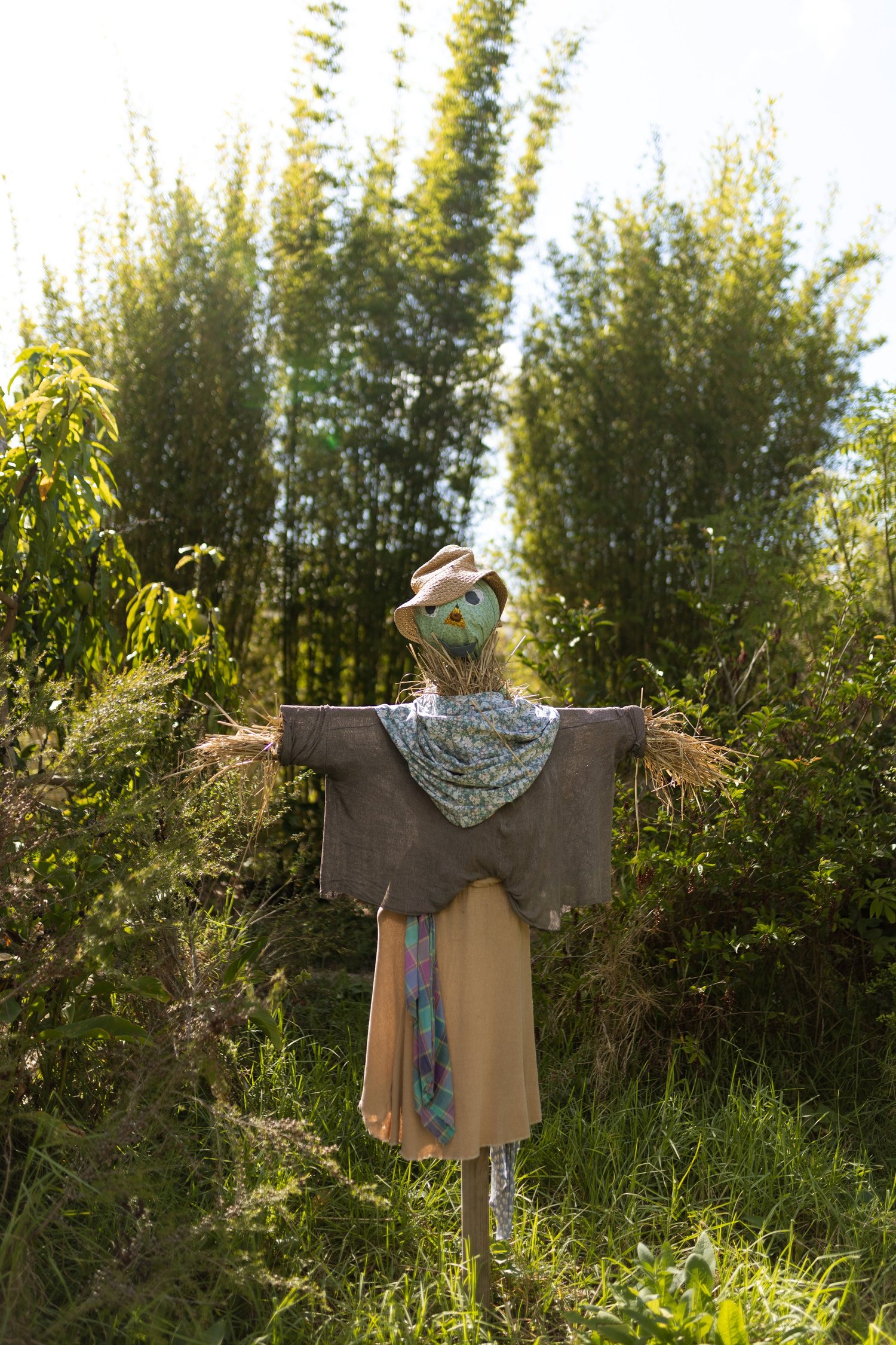 Acacia Play - Holistic Nature Play + Farm Immersions