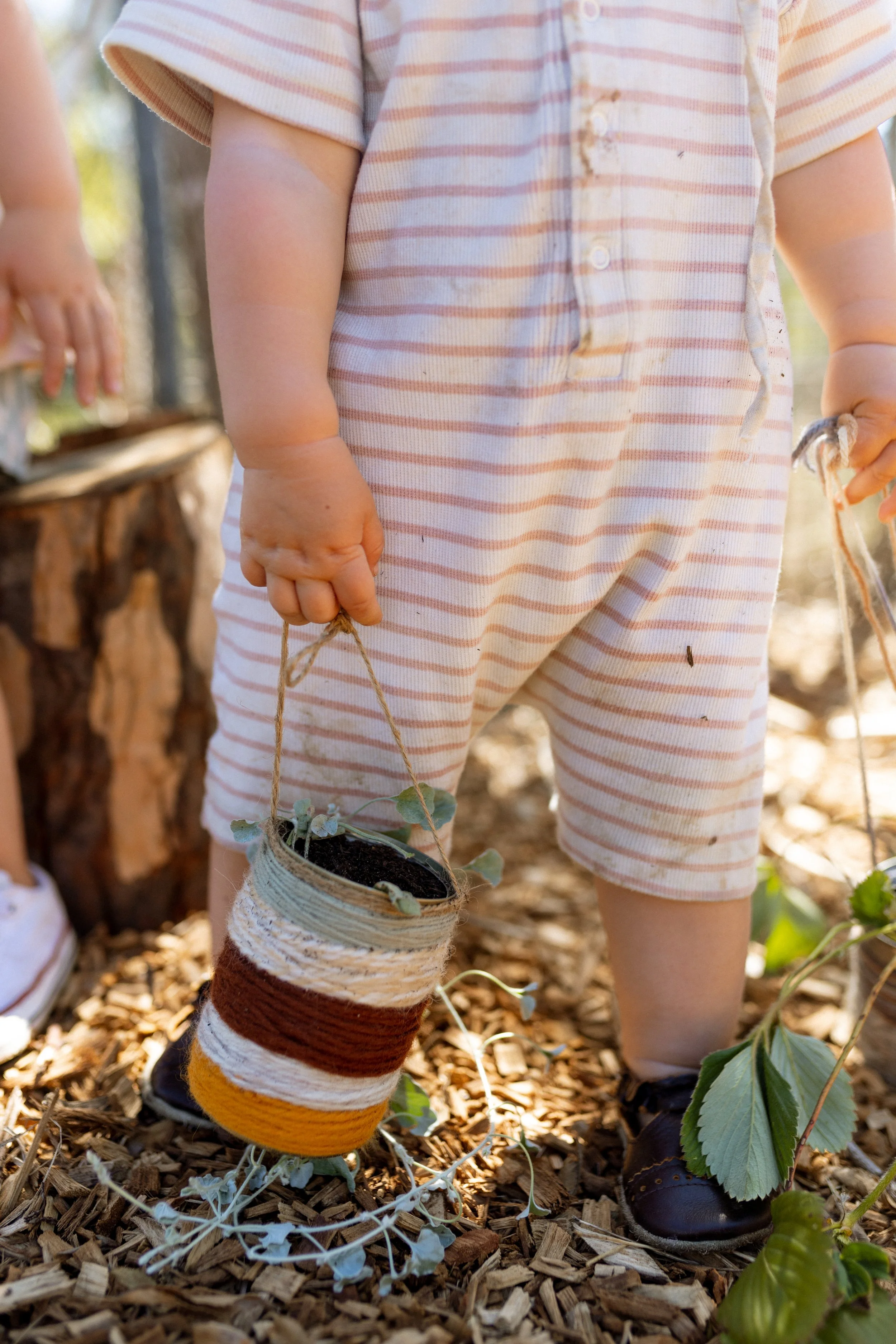 Gallery — Acacia Play