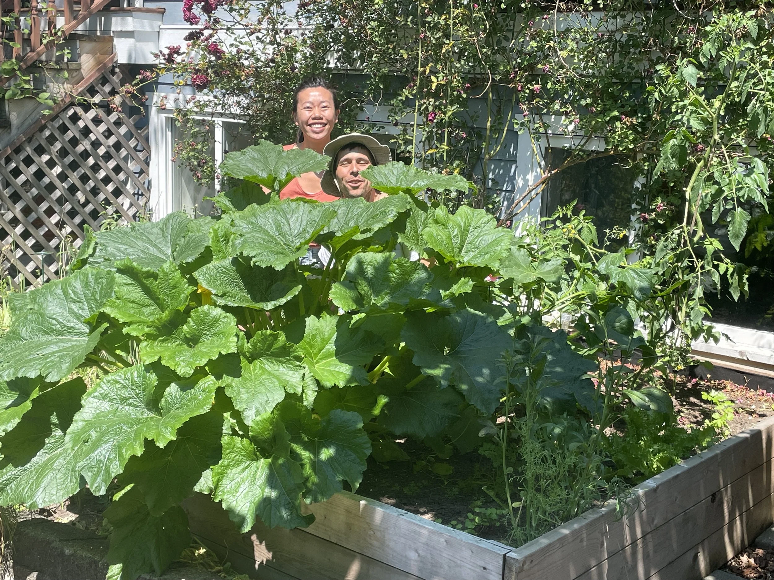 Enhancing Your Gardening Experience with a Garden Coach — Gather Gardeners