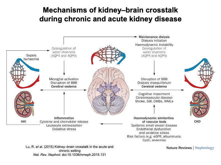 About 1 — HERRLICH LAB FOR INTERORGAN CROSSTALK