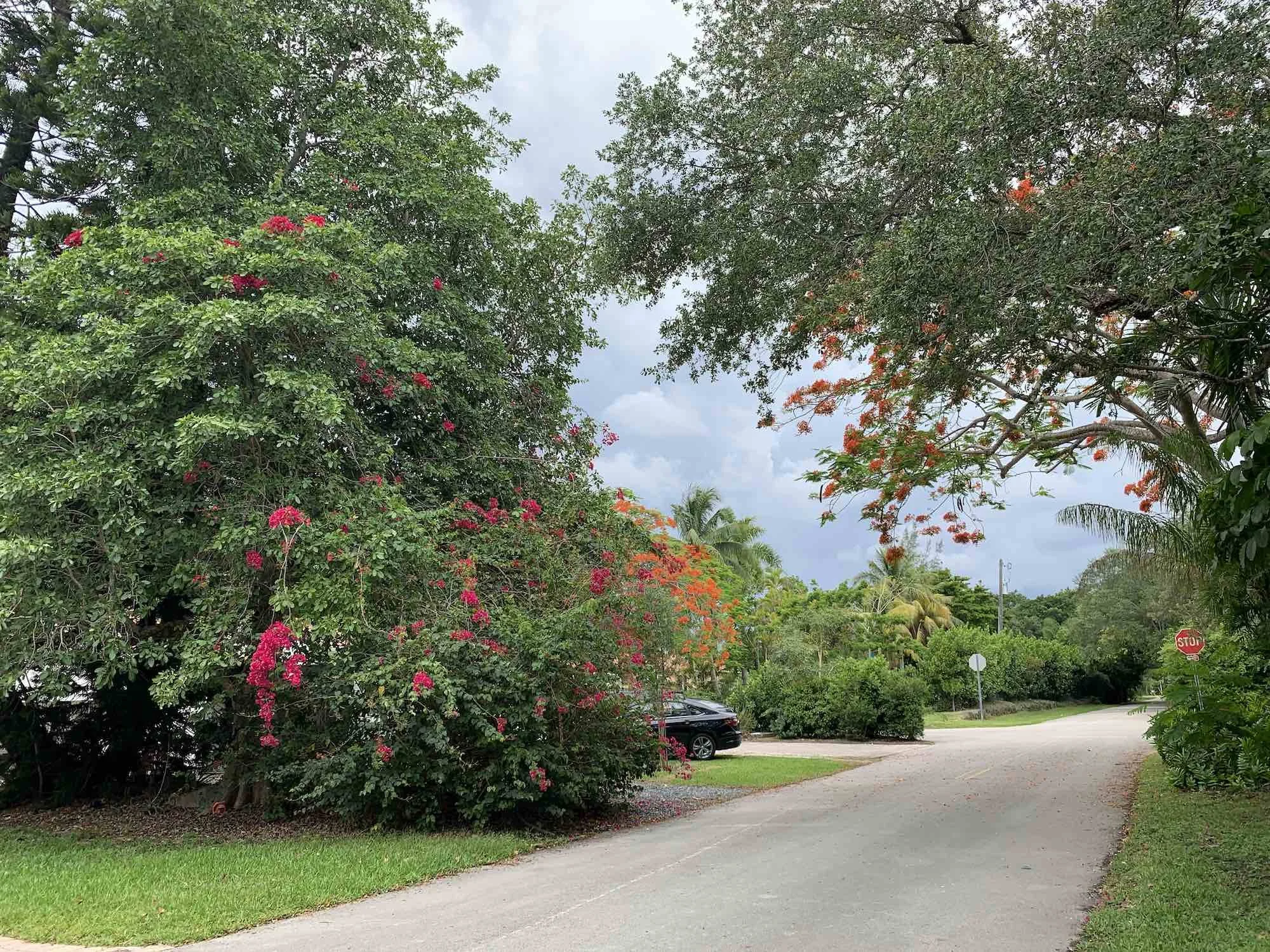 BHNA — Biltmore Heights Neighborhood Association