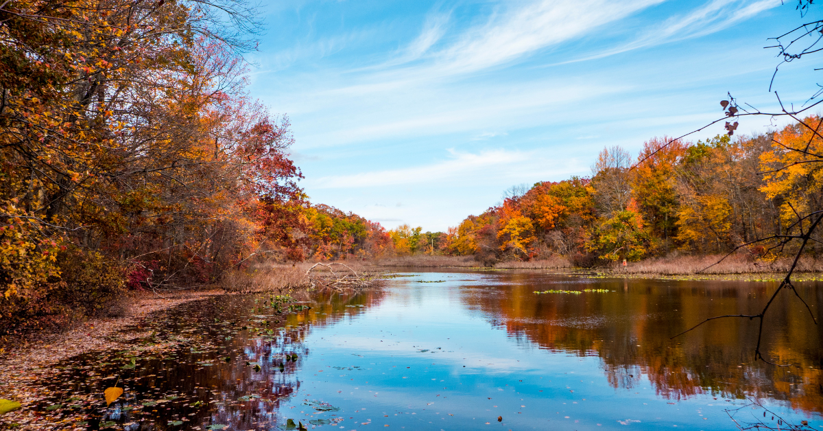 Best Fall Foliage in Northern NJ — 973 Party Rentals