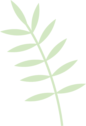 Biomagnetic Therapy — NorthStar Health Navigation & Biomagnetism