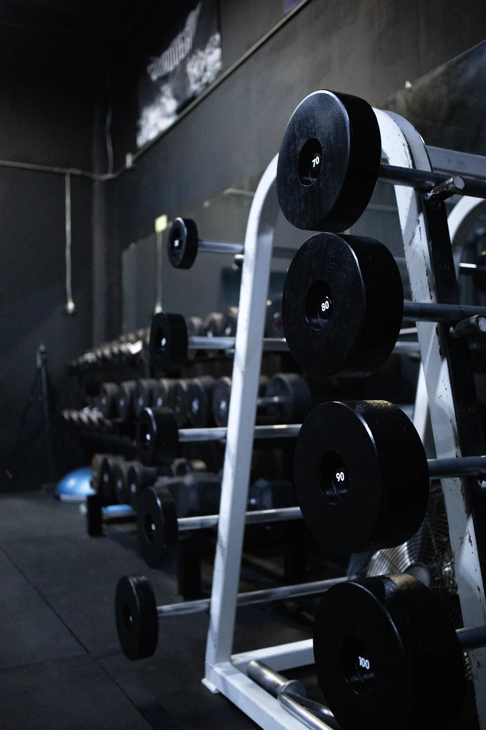 Home - The Forge Gym