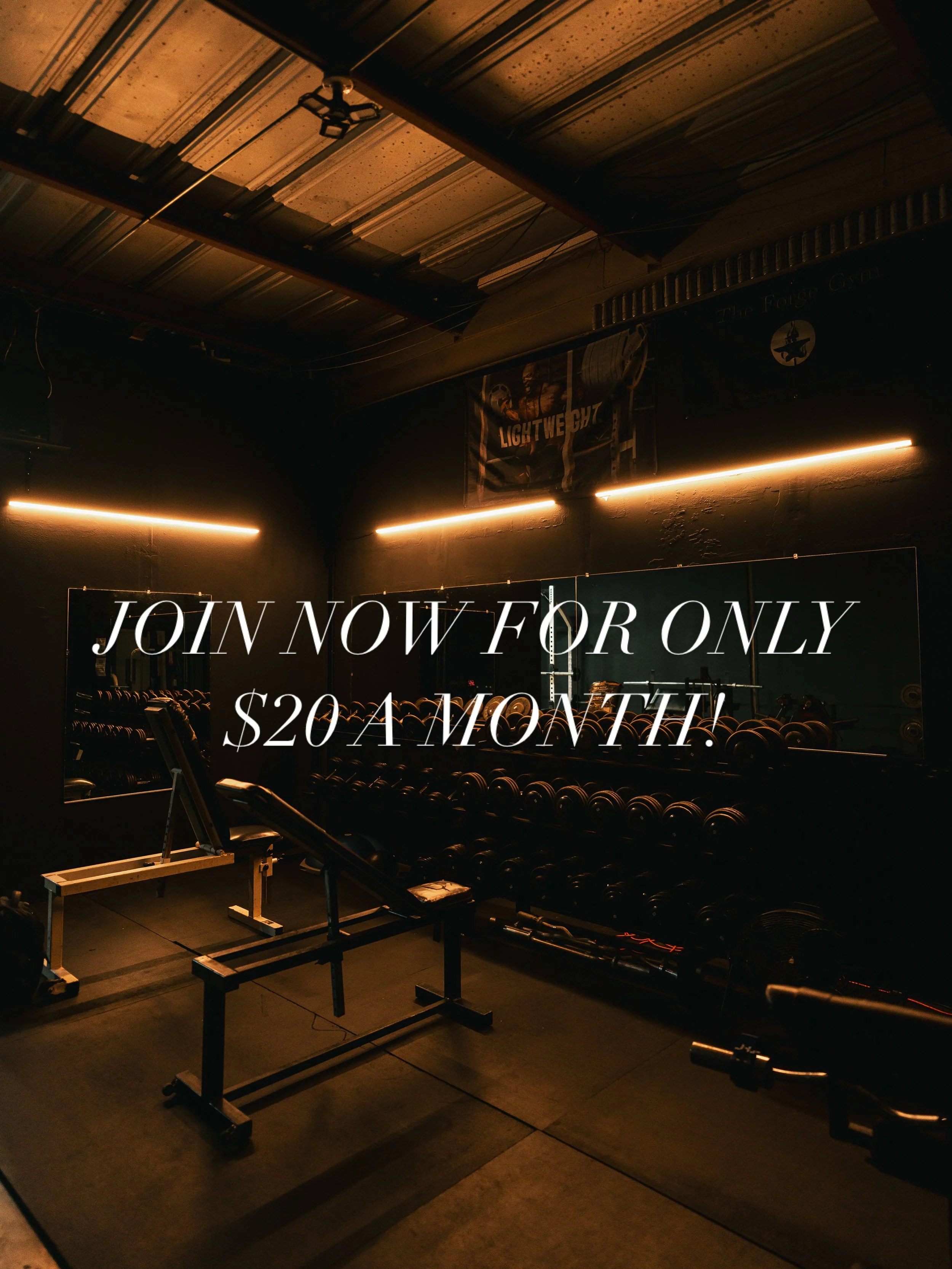 The Forge Gym - Conroe Hardcore Training Facility