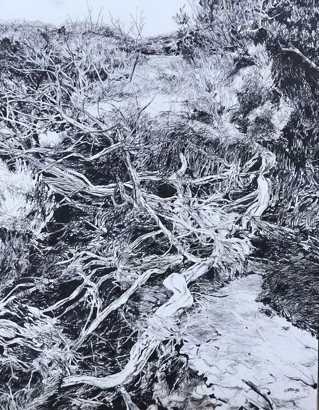 MSWPS Featured Artist - Jo Reitze — Melbourne Society of Women Painters ...