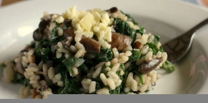 NETTLE RISOTTO — Melusine