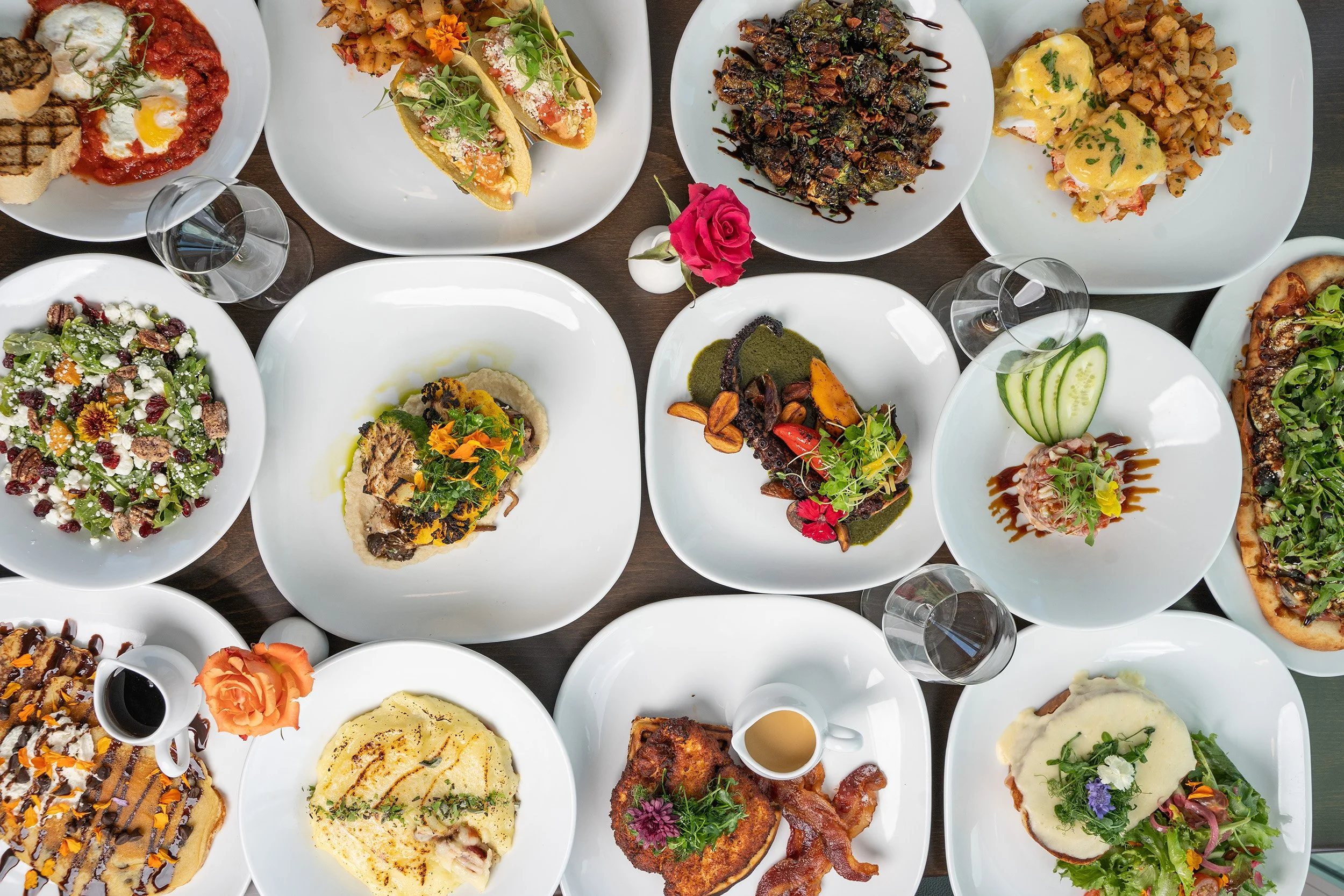 Our Menus — Terrace Rooftop Dining