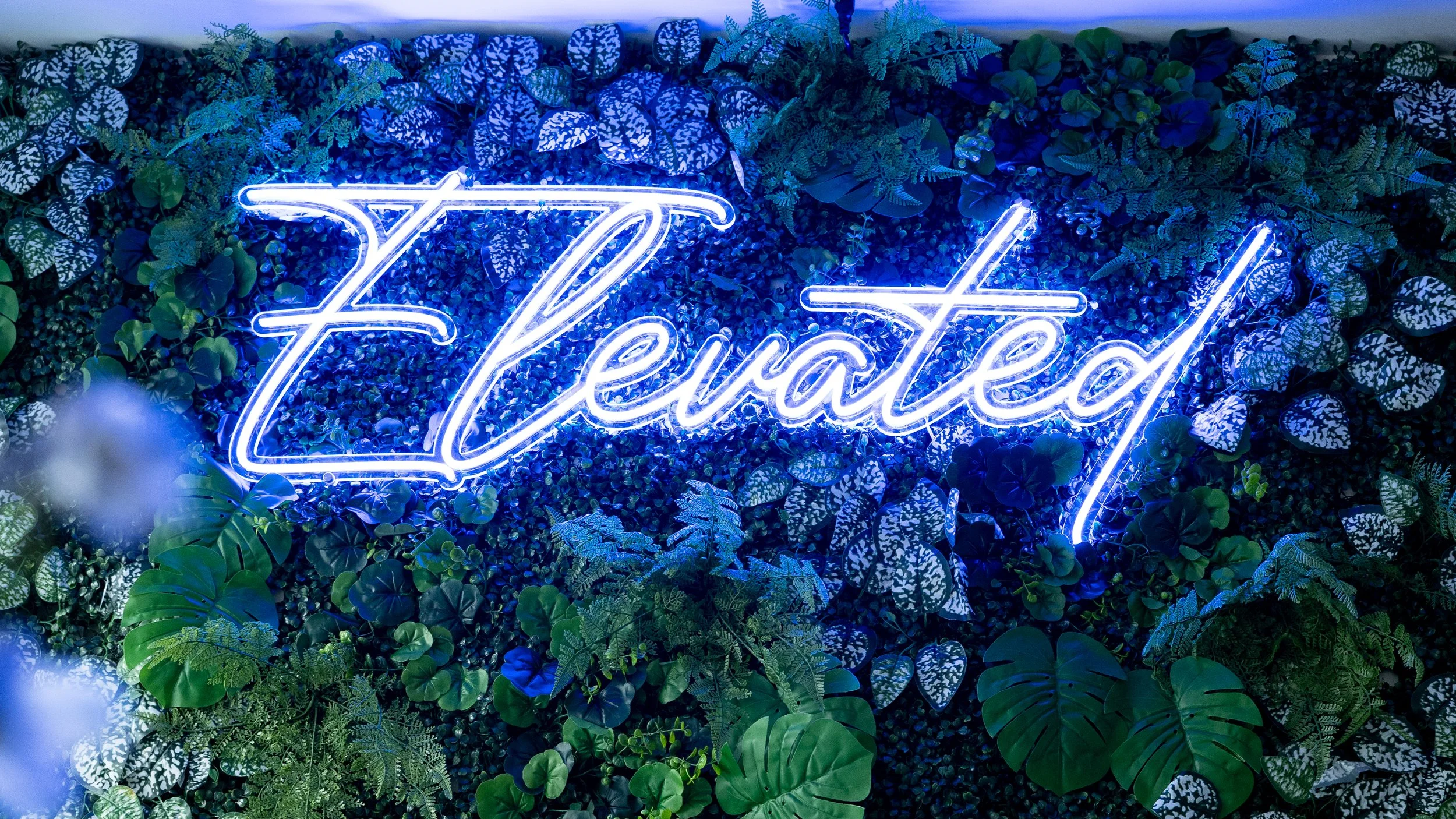 Terrace Rooftop Dining