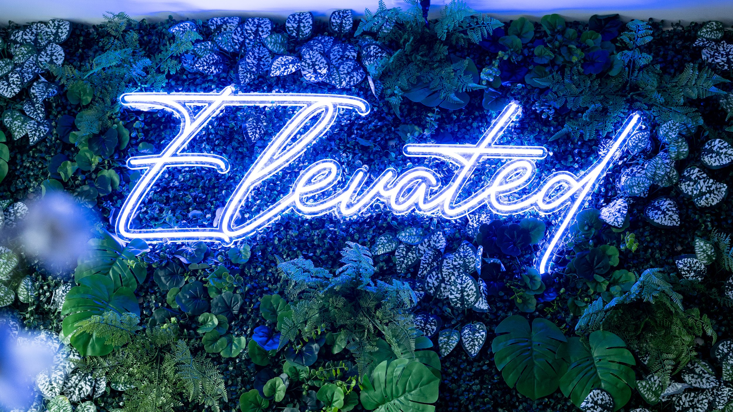 Terrace Rooftop Dining