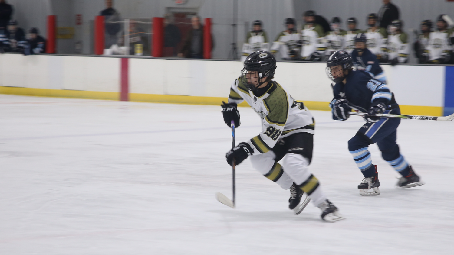 Lou & Gib Reese Ice Arena