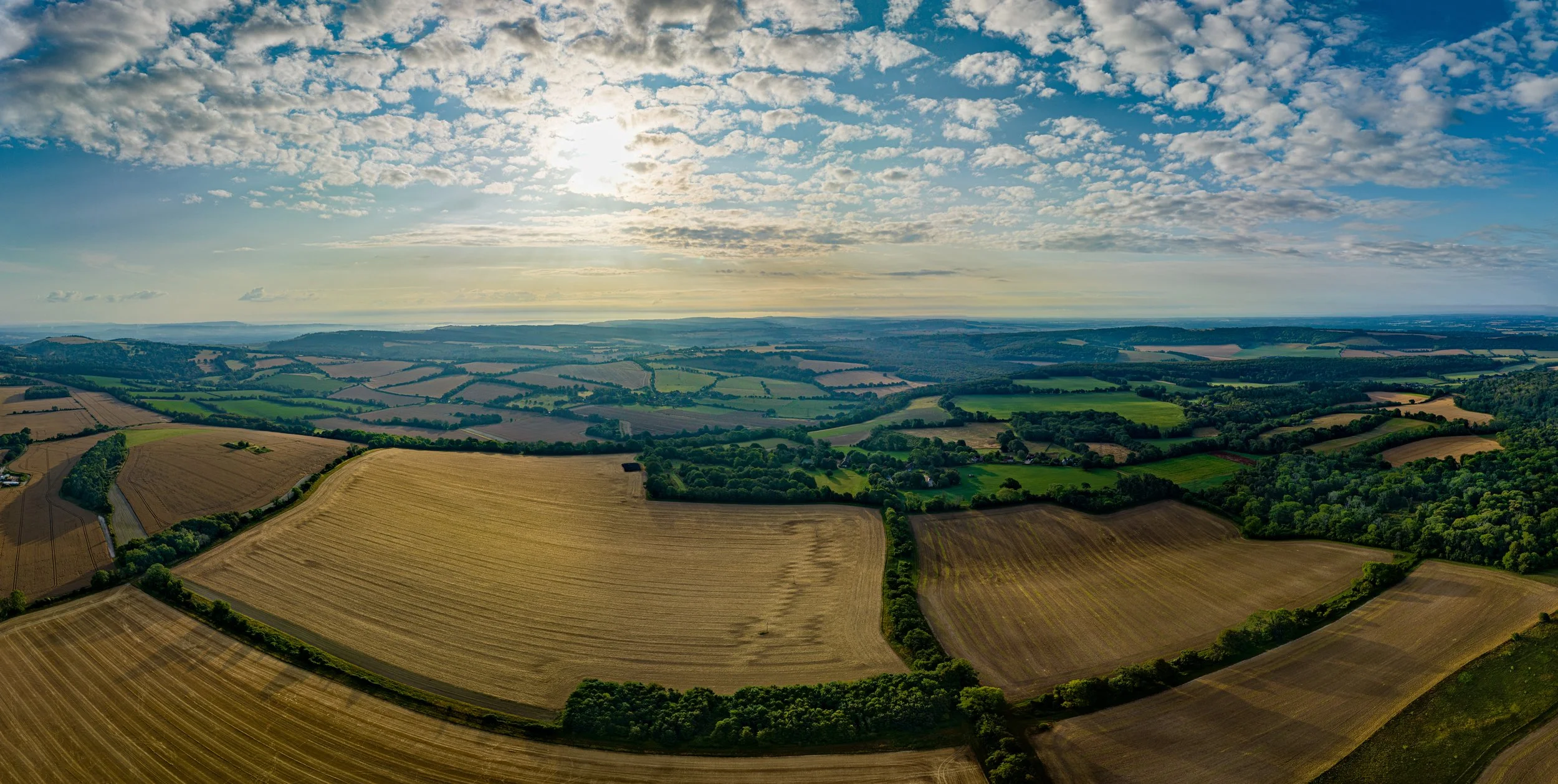 Compton Festival | Live music, local beers, great food and traditional ...