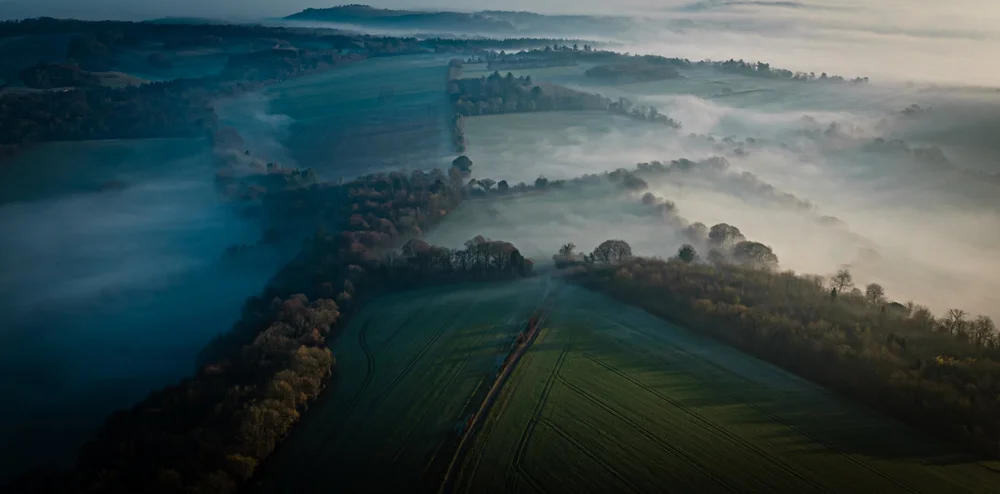 Compton Festival | Live music, beers and food | 2 Sept 2023