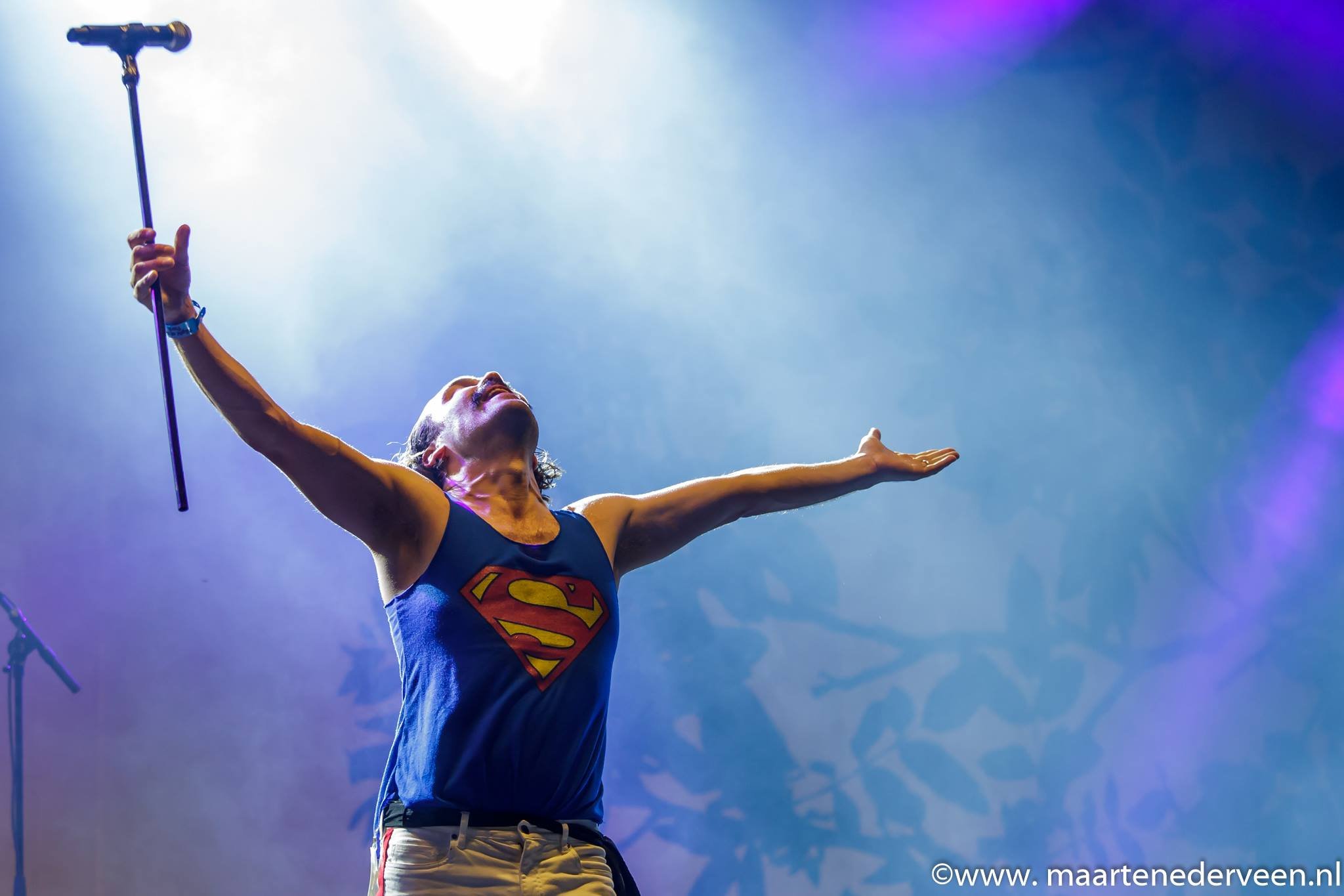 Compton Festival | Live music, local beers, great food and traditional crafts 29/30 Aug 2025